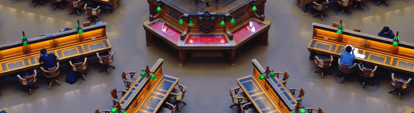 Michael Shirrefs - home - squawk studios