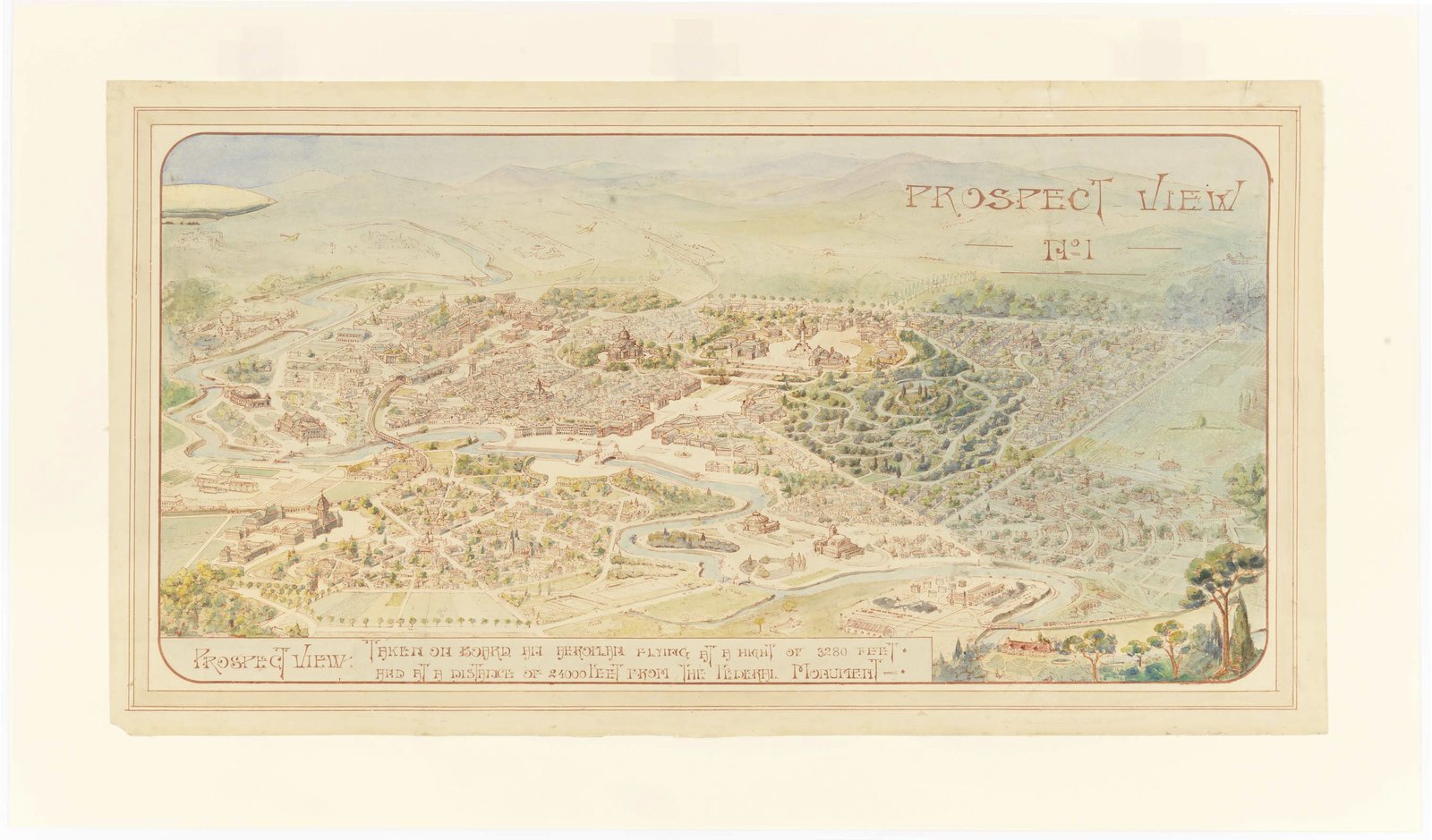 Canberra: Green Tights & Camomile Tea - squawk studios