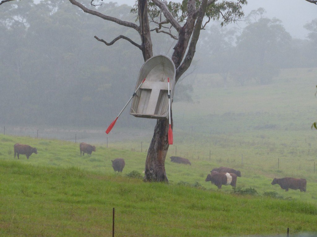 Remotely Connected - squawk studios