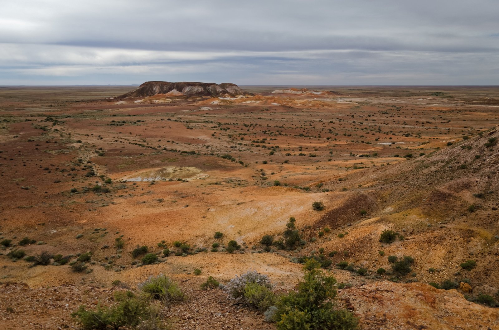 Squawk Studios - home - squawk studios