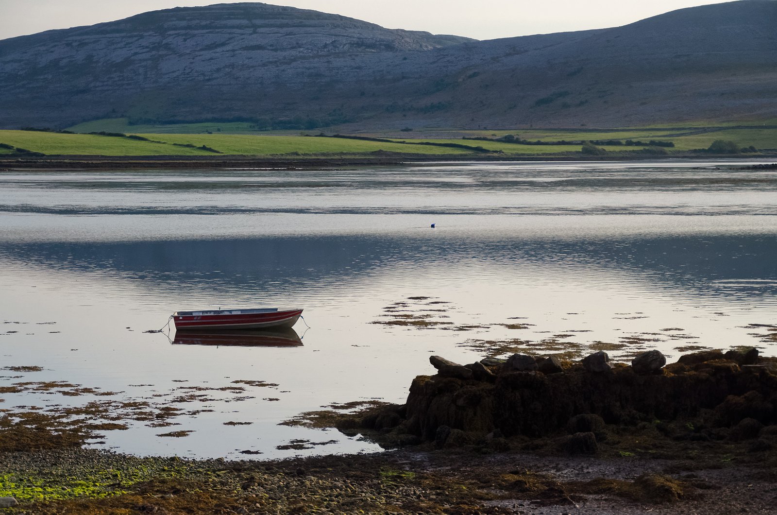 Squawk Studios - home - squawk studios