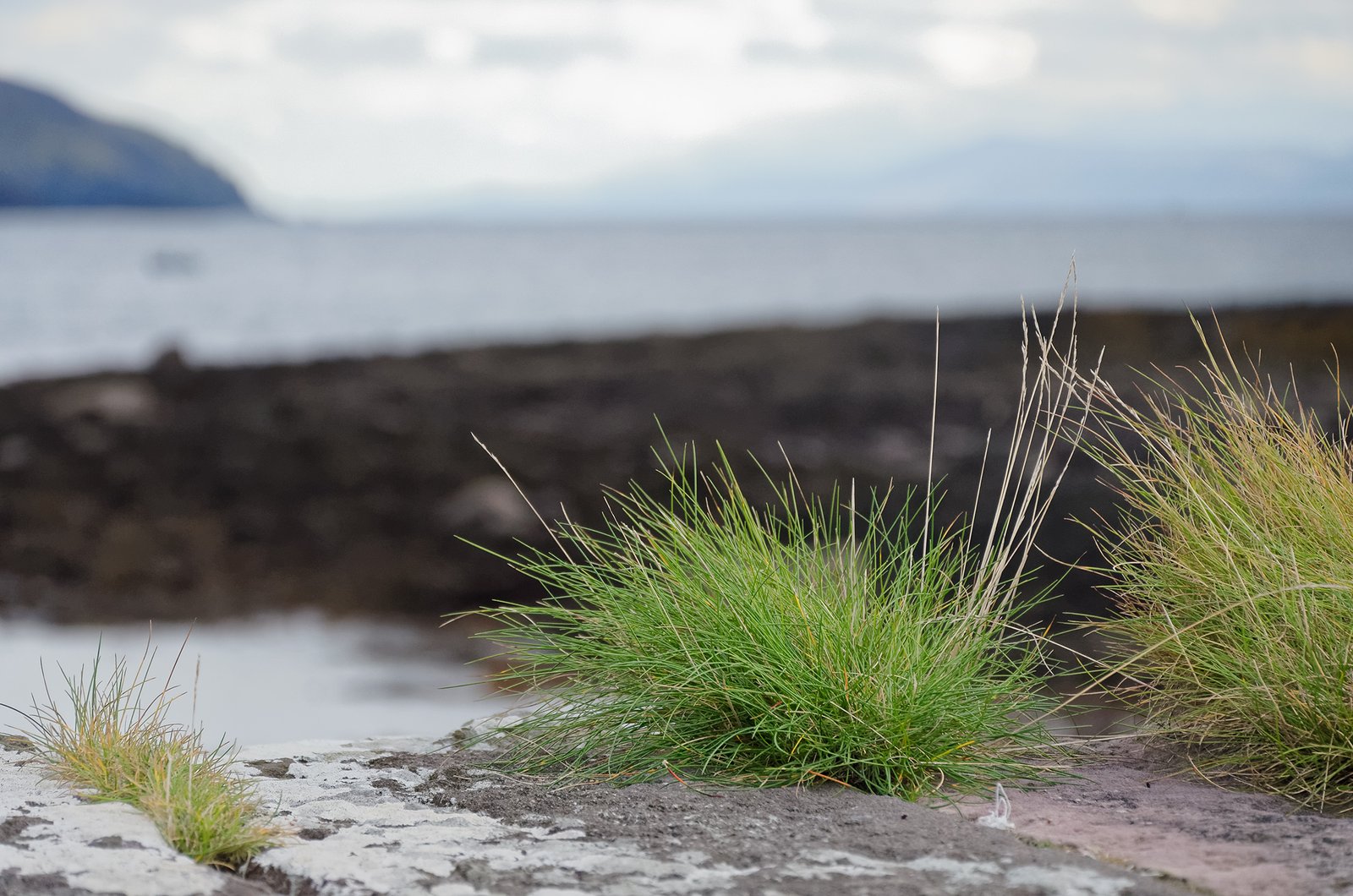 Squawk Studios - home - squawk studios