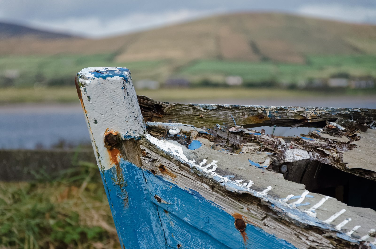 Squawk Studios - home - squawk studios