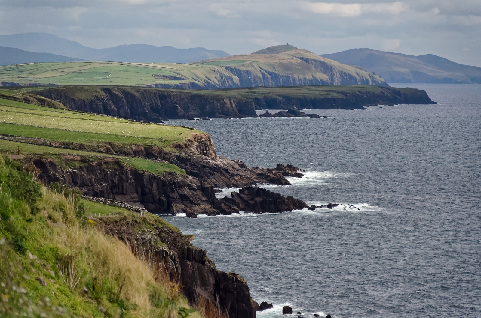 Squawk Studios - home - squawk studios