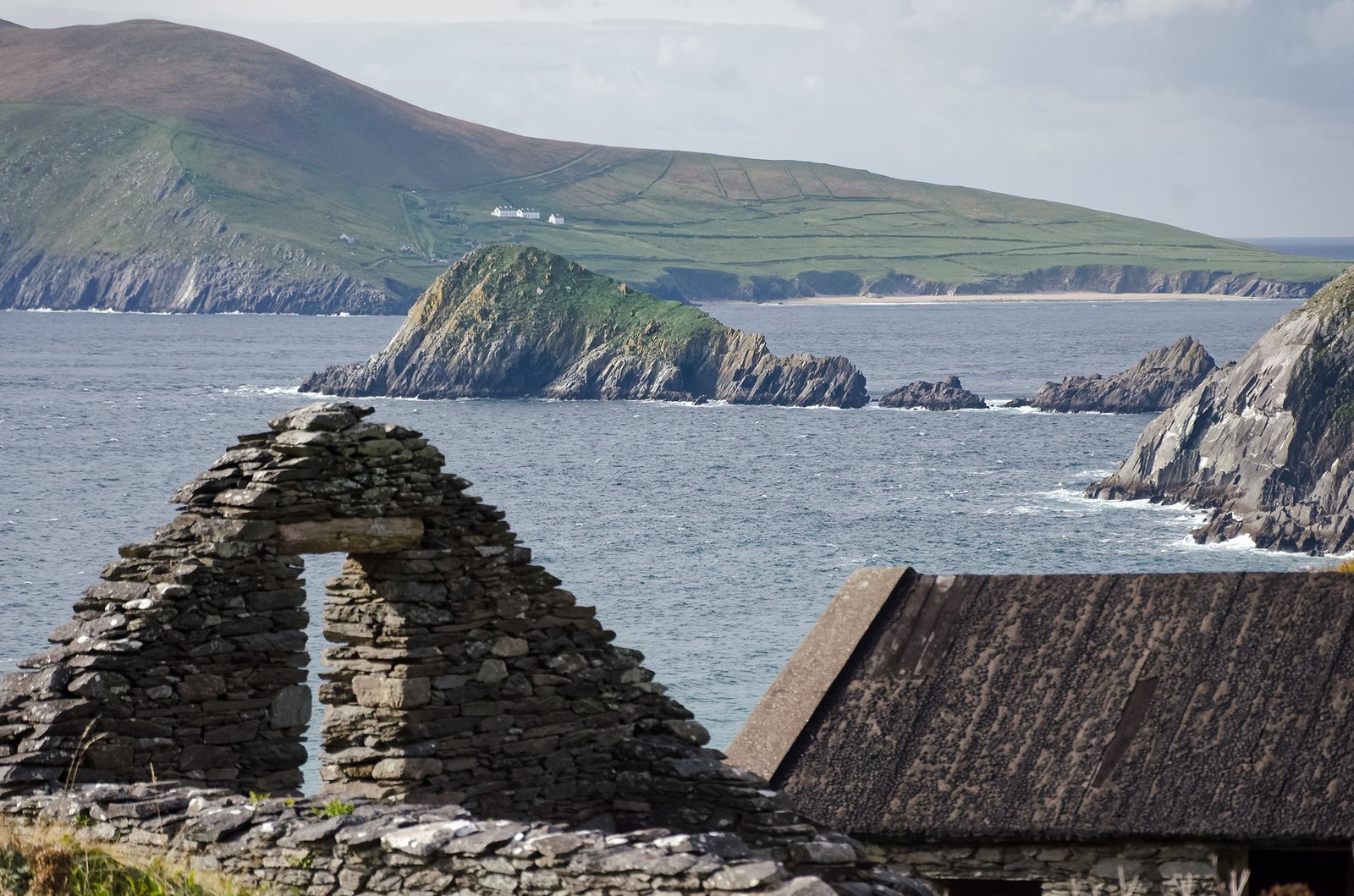 Squawk Studios - home - squawk studios