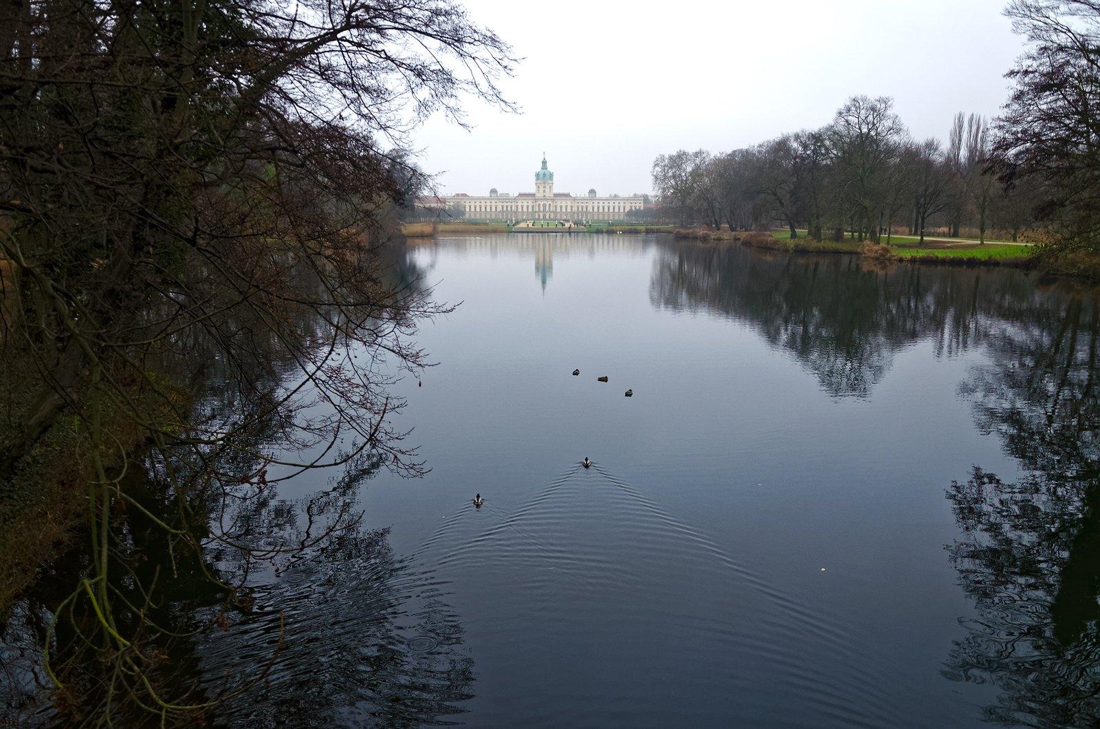 Squawk Studios - home - squawk studios