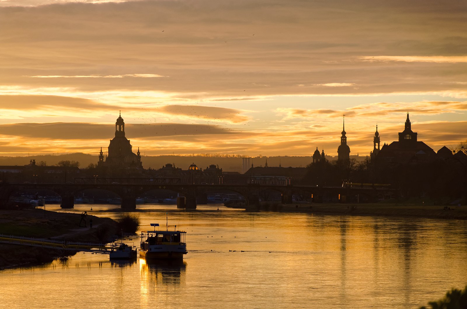 Squawk Studios - home - squawk studios