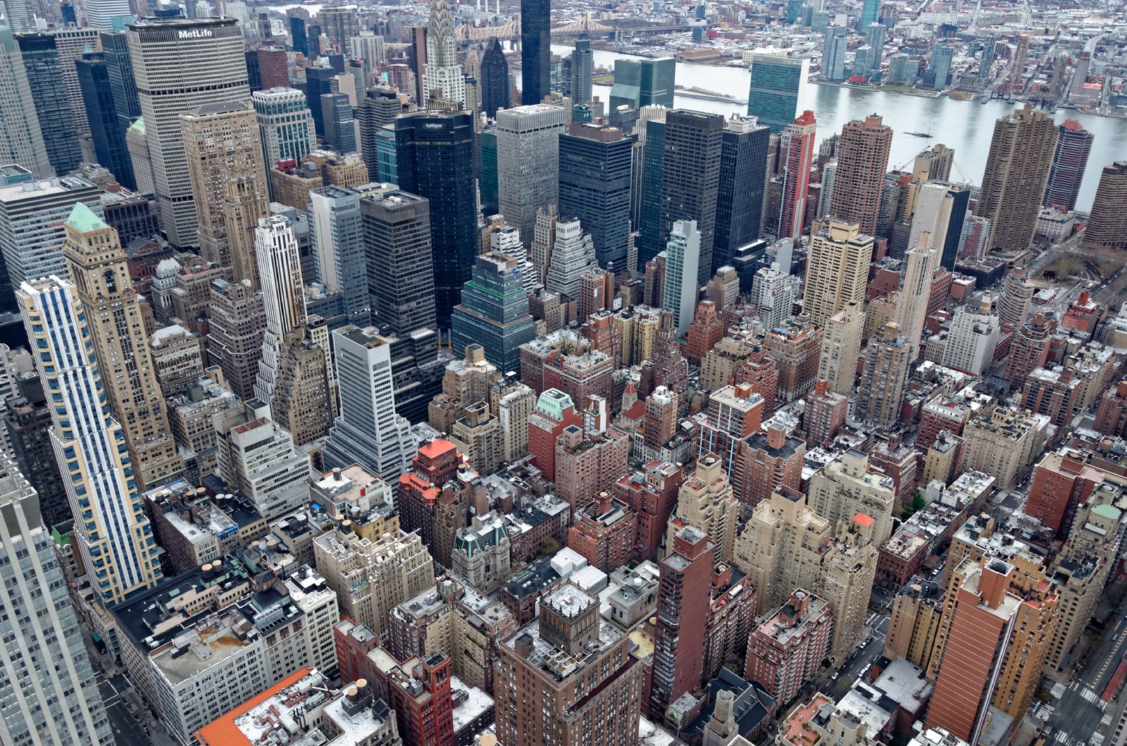 Squawk Studios - home - squawk studios