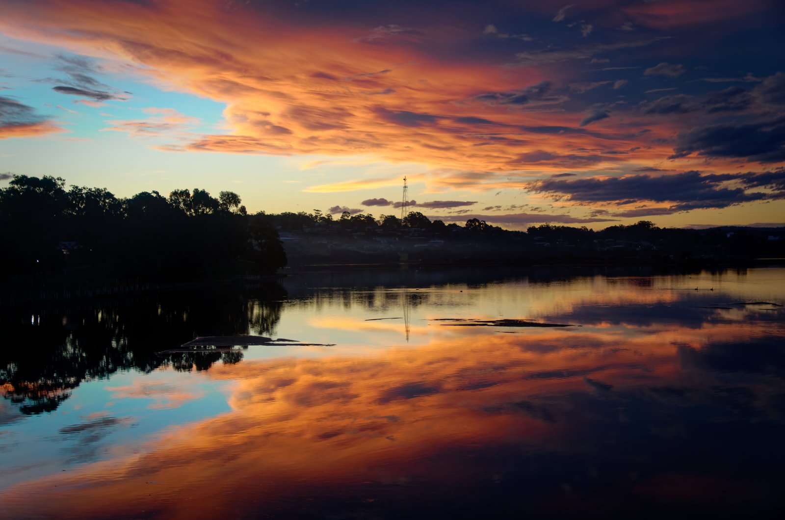 Squawk Studios - home - squawk studios