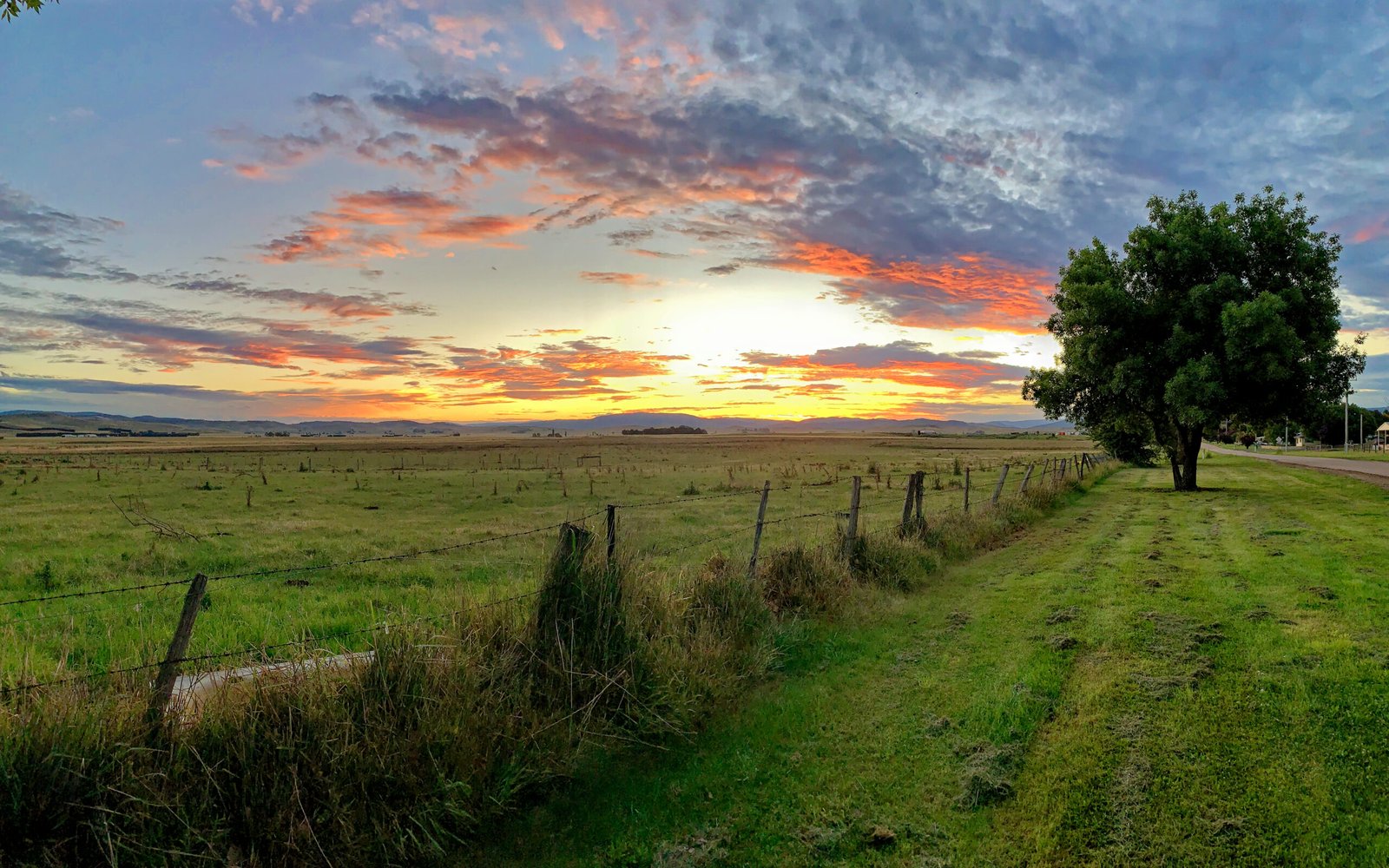 Five Classic Australian Poems - squawk studios