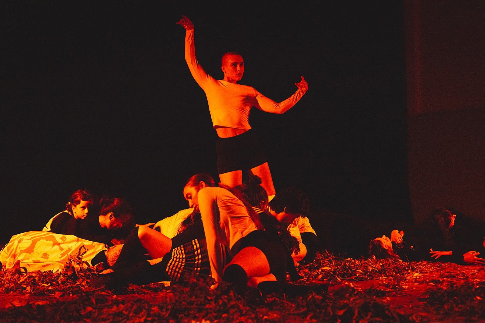 Dance of the Leaves - squawk studios